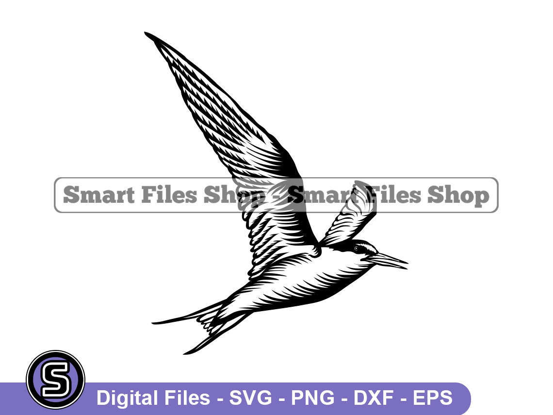 Least Tern Svg Bird Svg Bird Design Svg Bird Dxf Bird Png | Etsy