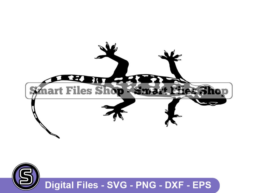 Gecko 5 Svg Gecko Svg Gecko Design Lizard Svg Gecko Dxf - Etsy
