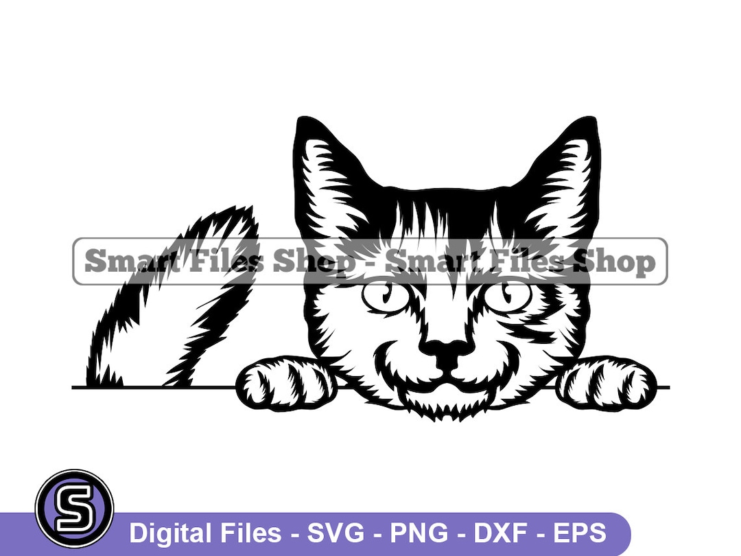 Katze SVG, Katze SVG, Katze SVG, Katze Dxf, Katze Png, Katzen Clipart ...