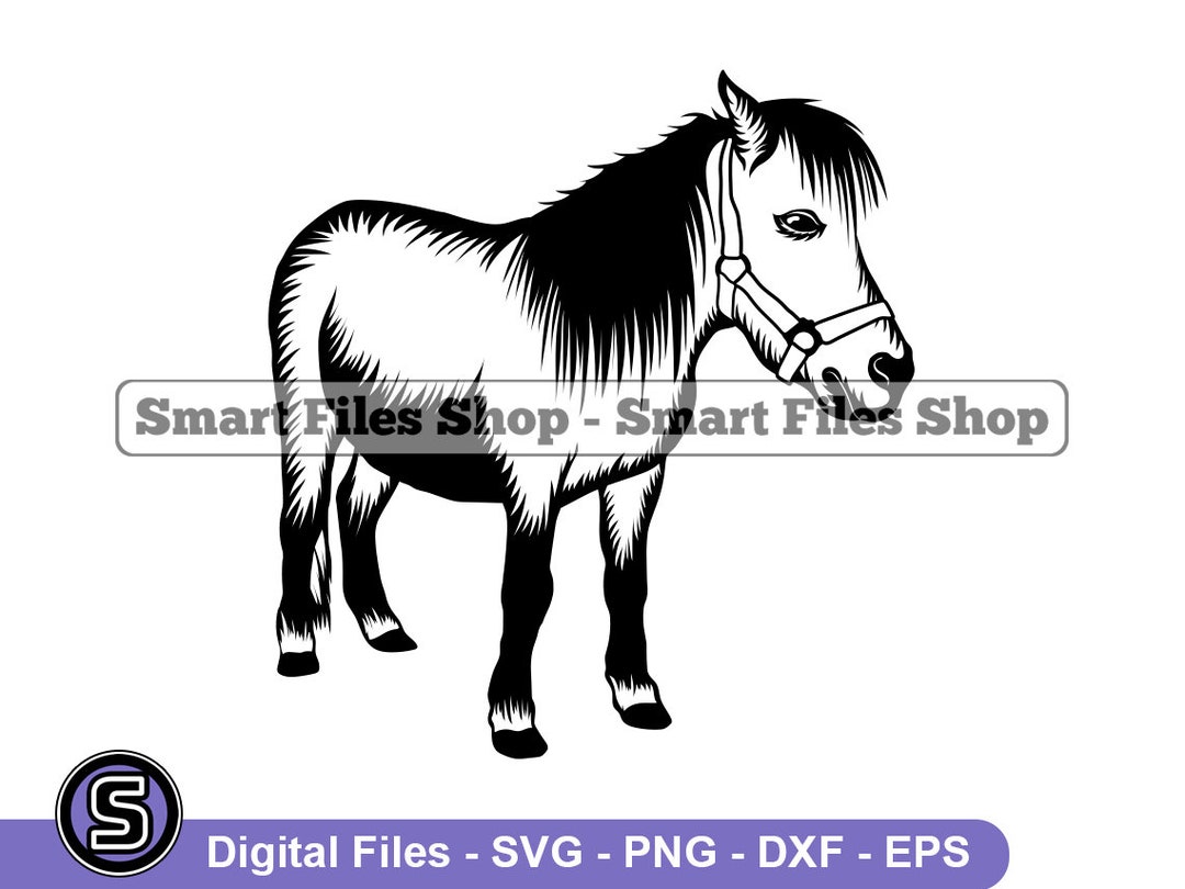 Pony SVG, Pony Design Svg, Baby Horse Design Svg, Pony Dxf, Pony Png ...