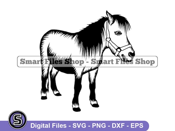 Pony SVG Pony Design Svg Baby Horse Design Svg Pony Dxf - Etsy.de