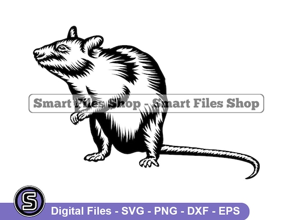 Rat 2 Svg Rat Svg Rodent Svg Exterminator Svg Rat Design - Etsy Australia