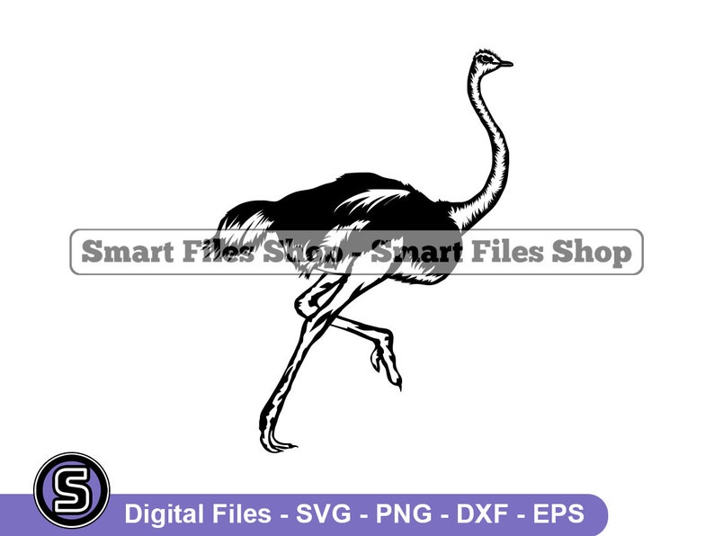 Running Ostrich #2 SVG, Ostrich SVG, Safari Animals Svg, Ostrich Dxf ...