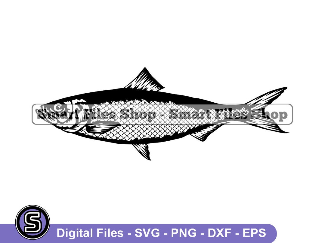 Skipjack Shad Svg, Fish Svg, Fishing Svg, Fishing Dxf, Fishing Png ...