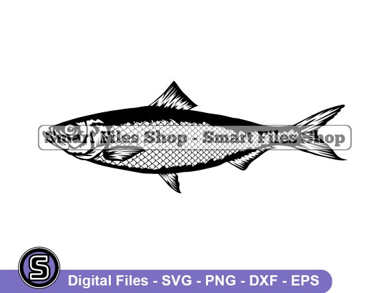 Skipjack Shad Svg Fish Svg Fishing Svg Fishing Dxf Fishing | Etsy
