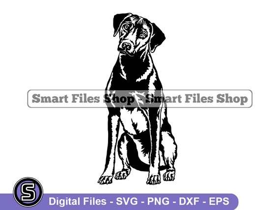 Sitting Rhodesian Ridgeback SVG Rhodesian Ridgeback Svg Dog - Etsy