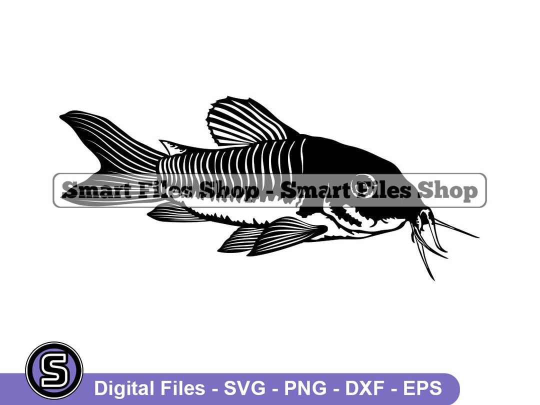 Cory Catfish Svg, Aquarium Fish Svg, Fish Svg, Pet Fish Svg, Cory ...