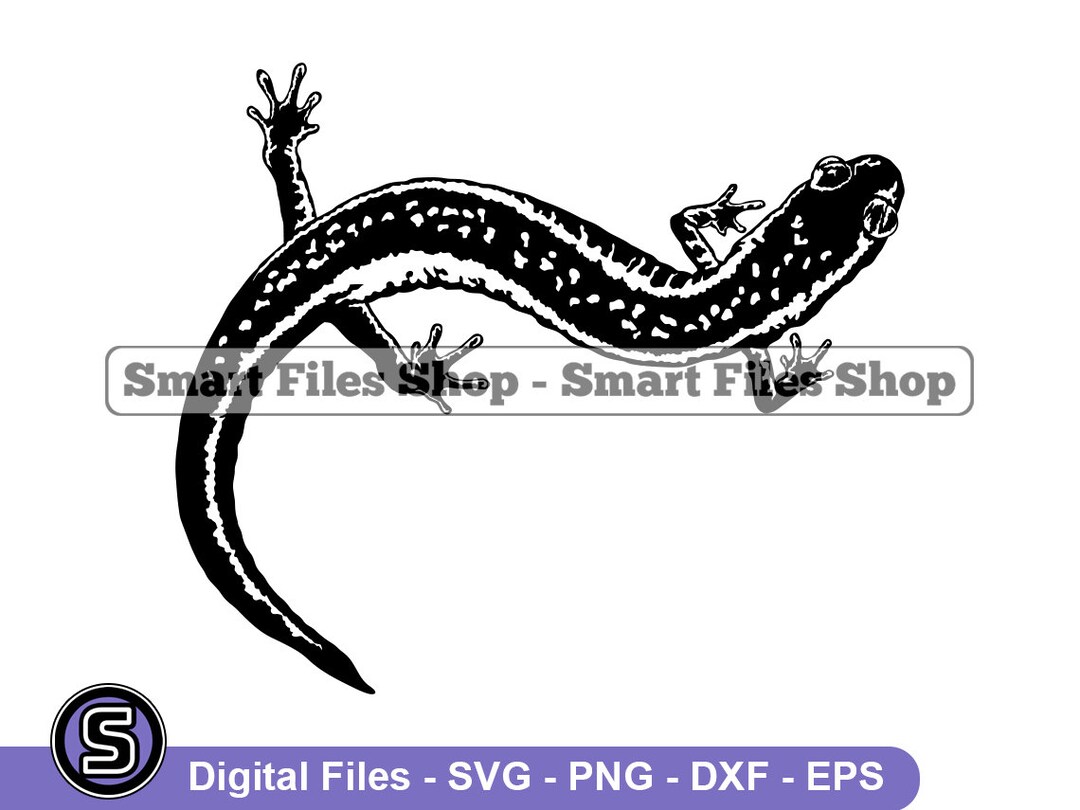 Salamander #5 Svg, Salamander Svg, Lizard Svg, Salamander Dxf ...