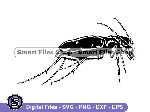 Beetle Svg Bug Svg Insect Svg Beetle Dxf Beetle Png - Etsy Australia