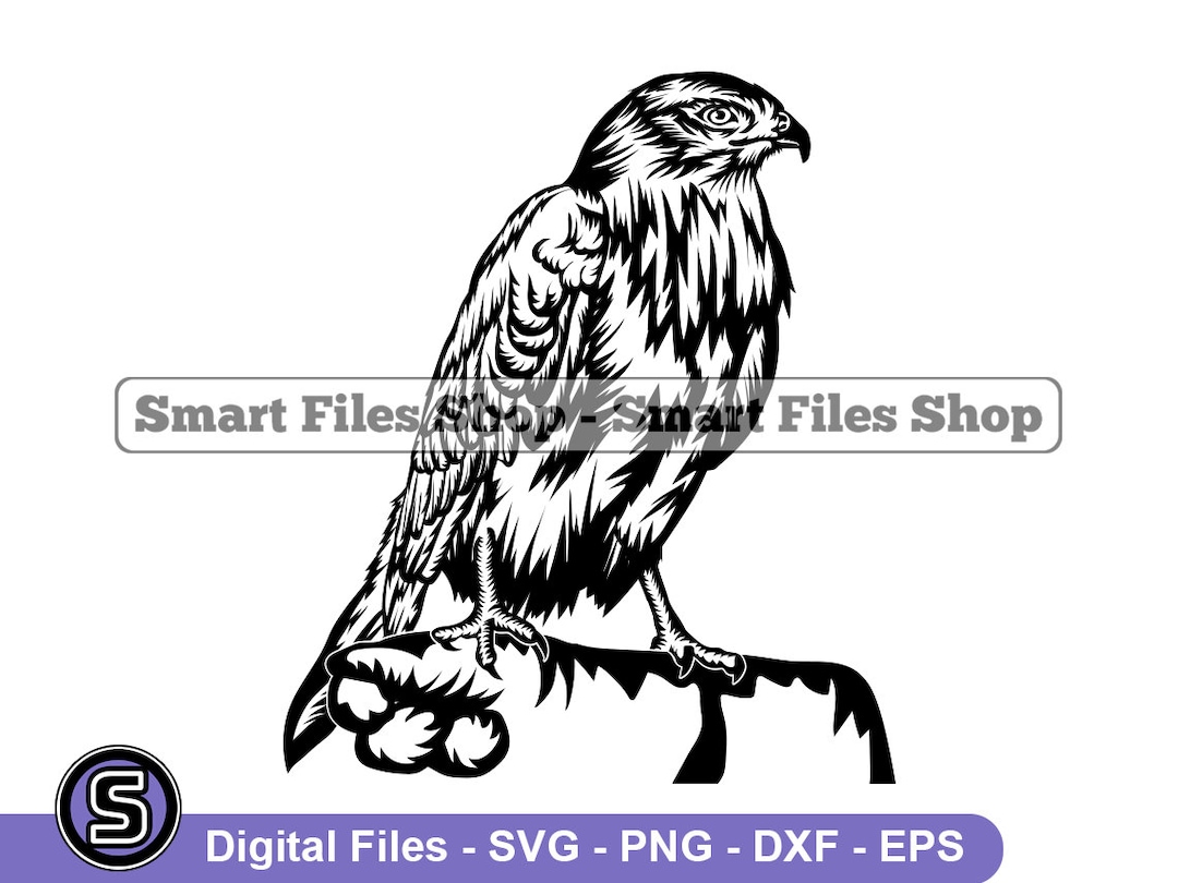 Buzzard #2 Svg, Buzzard Svg, Predator Bird Svg, Buzzard Dxf, Buzzard ...