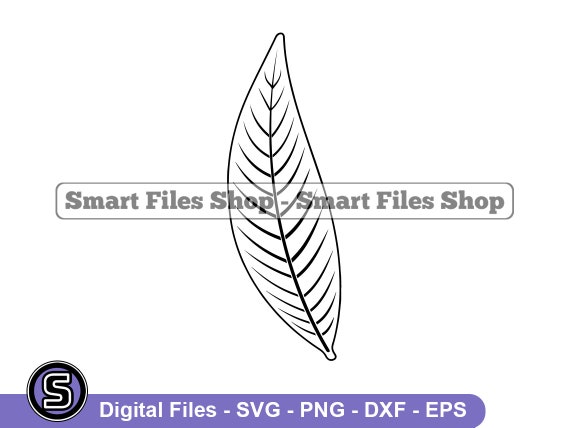 Long Leaf Outline Svg Leaf Svg Autumn Svg Foliage Svg Leaf - Etsy