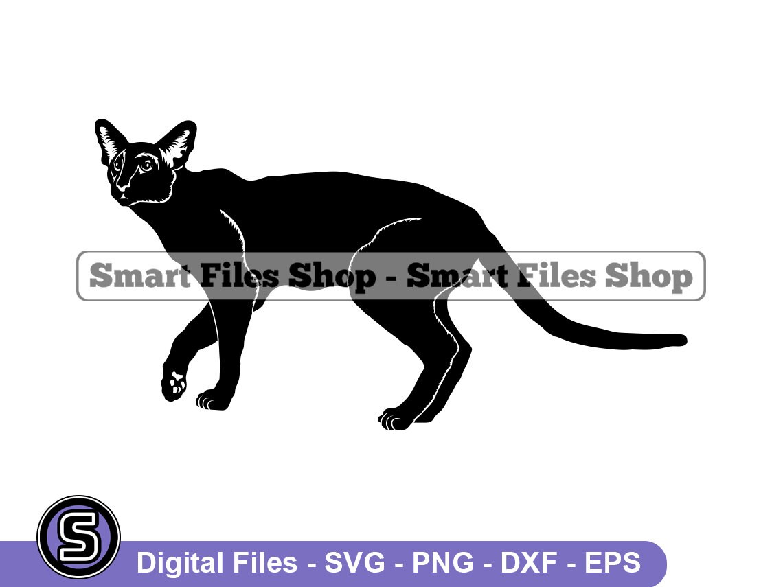 Black Cat 2 Svg Cat Svg Pet Svg Kitten Svg Black Cat Dxf | Etsy