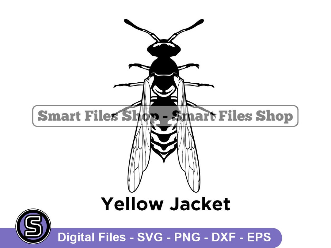 Yellow Jacket 5 Svg, Wasp Svg, Insect Svg, Wasp Dxf, Wasp Png, Wasp ...