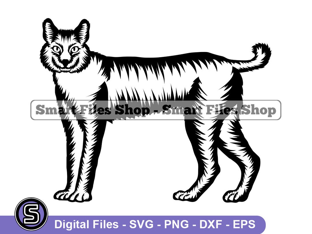 Bobcat SVG, Forest Creatures Svg, Bobcat Dxf, Bobcat Png, Bobcat ...