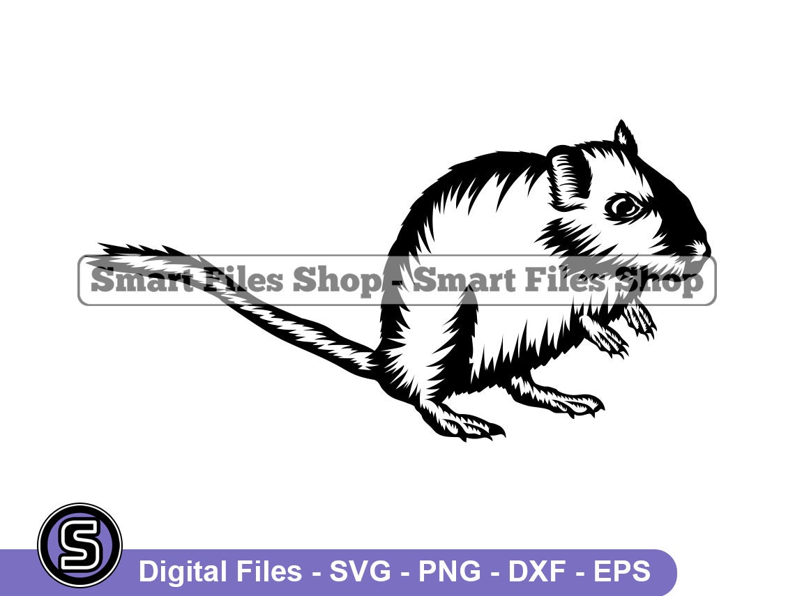 Gerbil 4 SVG Gerbil SVG Pet SVG Animals Svg Gerbil Dxf | Etsy