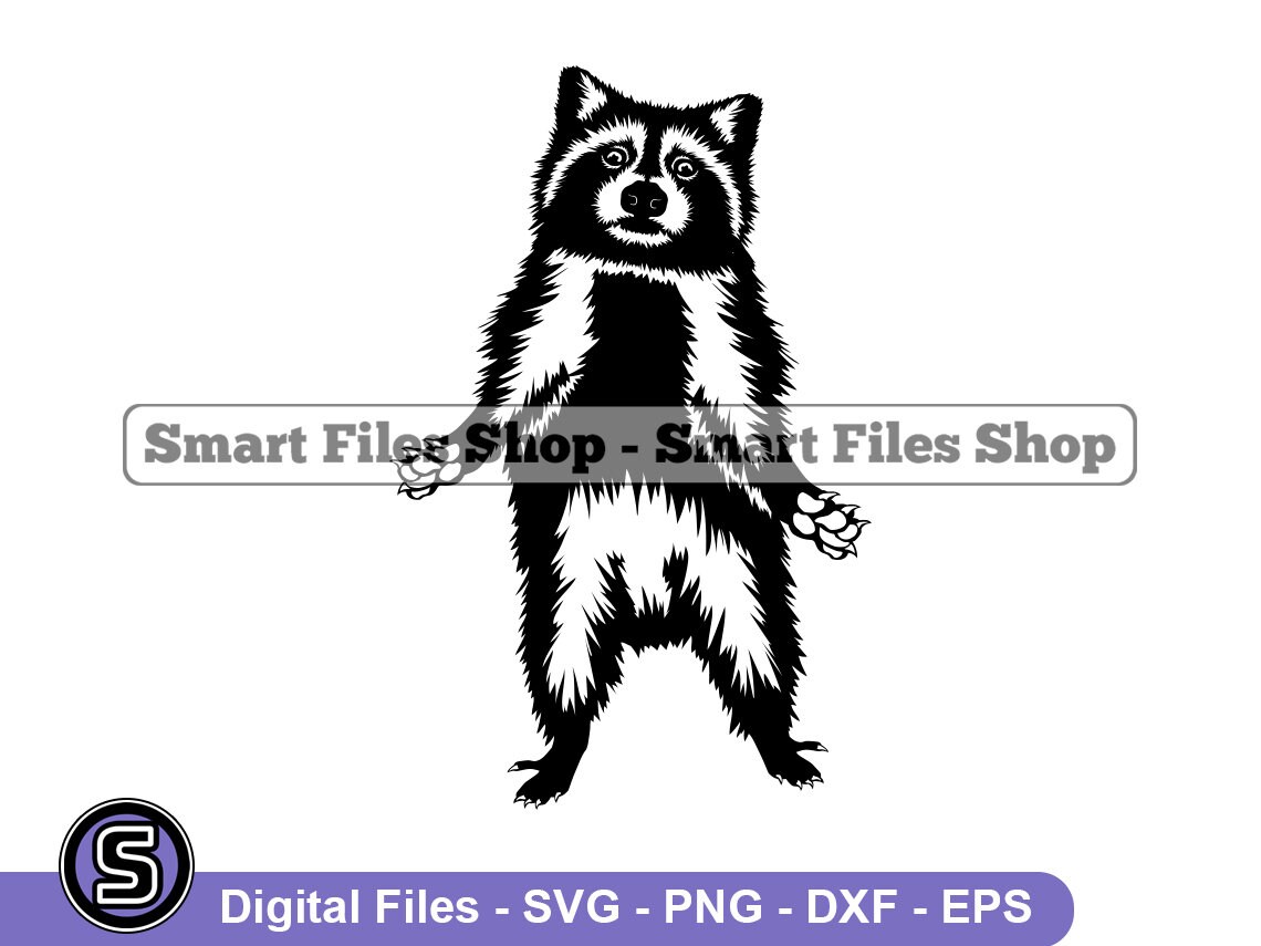 Mapache de pie SVG Mapache svg Mapache Dxf Mapache Png - Etsy México