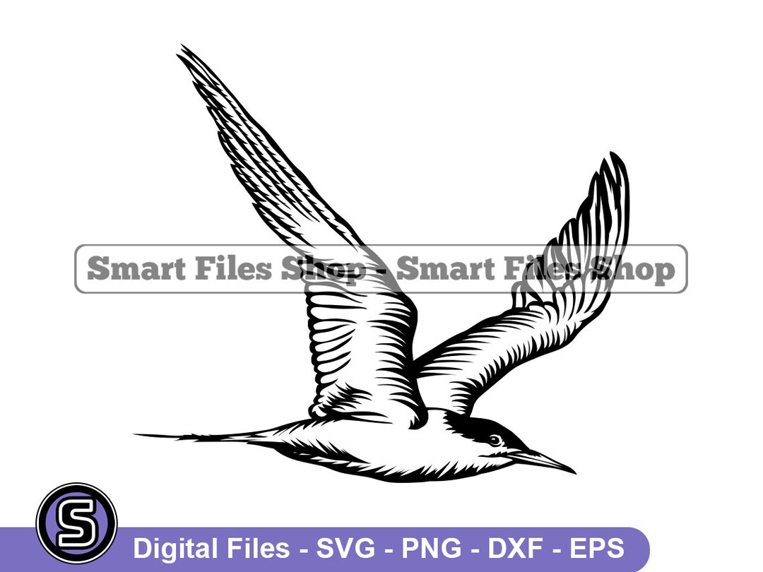 Common Tern Svg, Bird Svg, Common Tern Dxf, Common Tern Png, Common ...