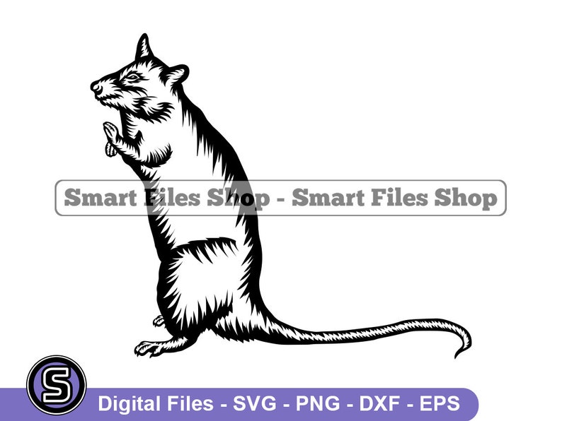 Rat 3 Svg Rat Svg Rodent Svg Exterminator Svg Rat Design - Etsy