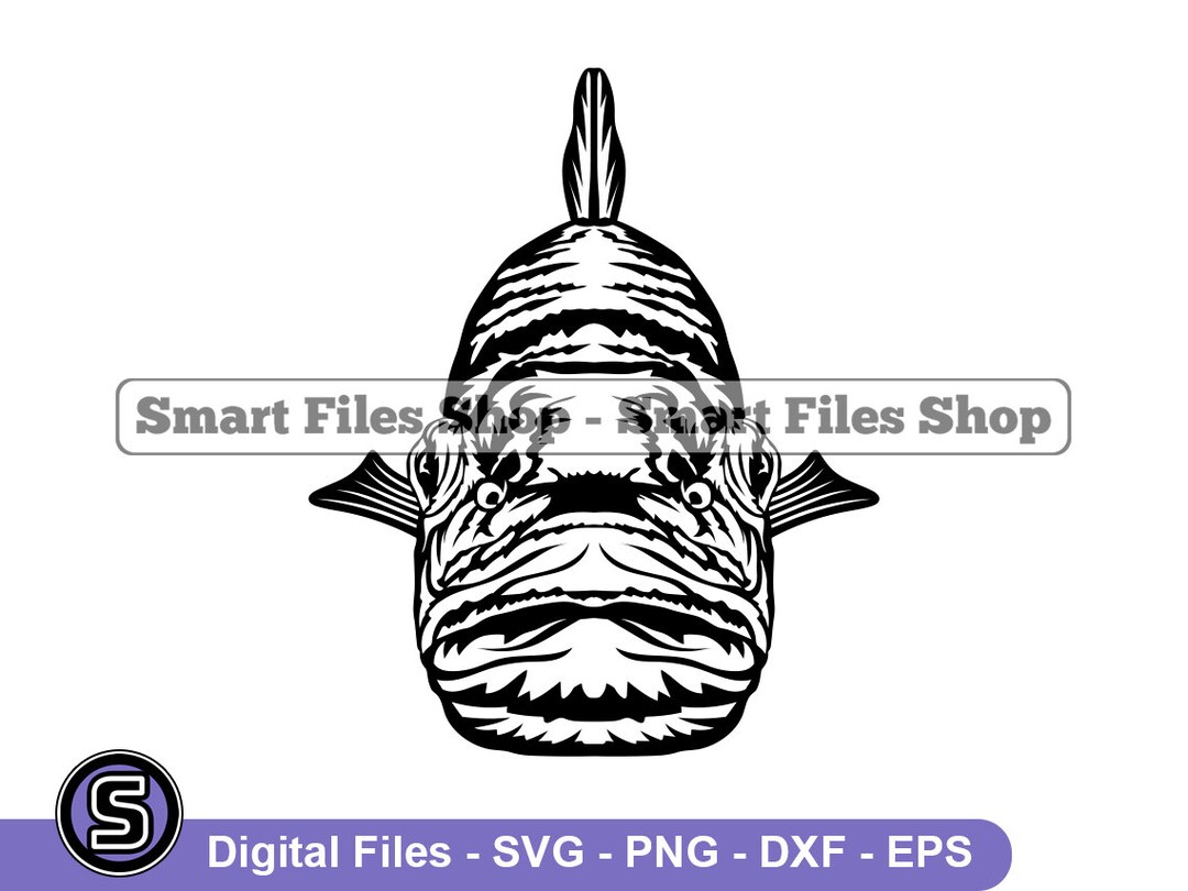 Bass Fish Face Svg, Sea Bass Svg, Fishing Svg, Bass Fishing Svg, Fish ...