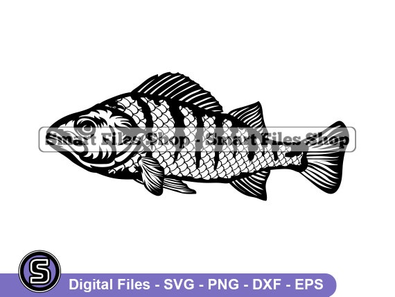European Perch Svg Fish Svg Perch Svg European Perch Dxf - Etsy