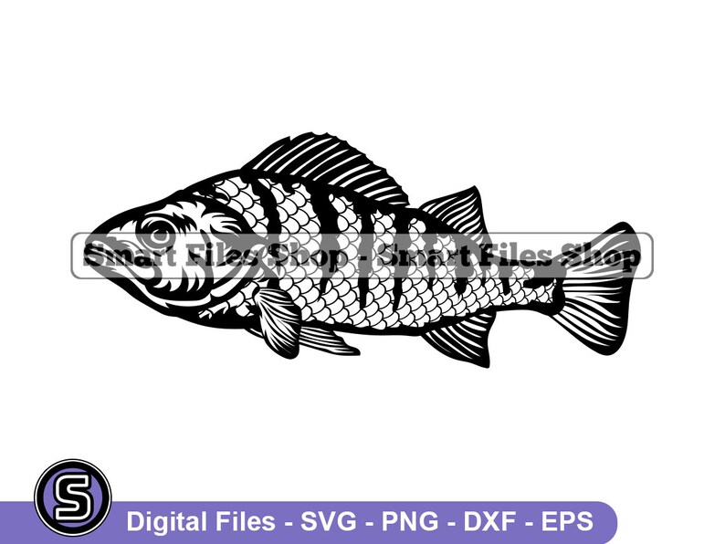 European Perch Svg Fish Svg Perch Svg European Perch Dxf - Etsy