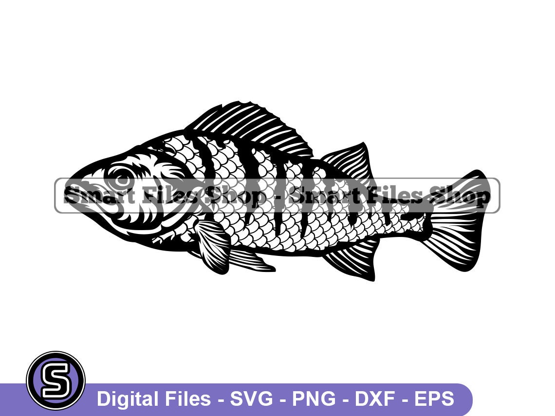 European Perch Svg, Fish Svg, Perch Svg, European Perch Dxf, European ...