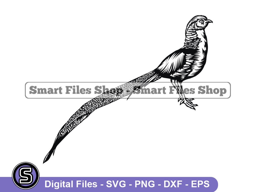 Pheasant 3 SVG, Pheasant SVG, Pheasant Dxf, Pheasant Png, Pheasant ...