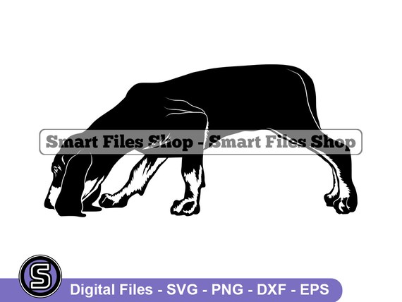 Sniffing Dog 4 Svg Dog Svg Coonhound Svg Hound Dog Svg - Etsy