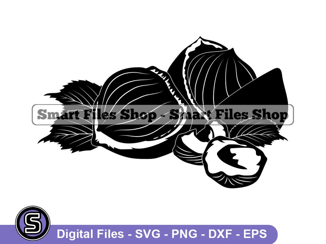 Hazelnut Svg, Hazelnut Dxf, Hazelnut Png, Hazelnut Clipart, Hazelnut ...