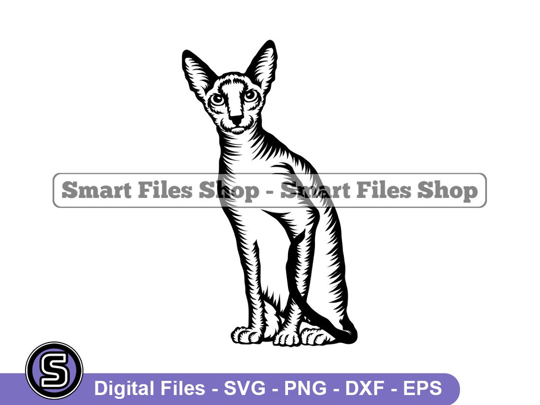 Cornish Rex Cat 2 SVG, Cornish Rex Cat Svg, Cat Svg, Pet Svg, Cat Dxf ...