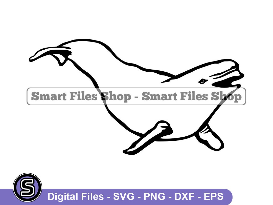 Beluga Whale 2 SVG, Beluga SVG, Ocean Creatures Svg, Beluga Whale Dxf ...
