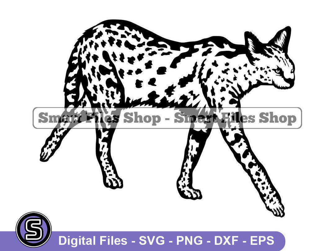 Serval SVG, Animals Svg, Serval Cut Files, Serval Dxf, Serval Png ...
