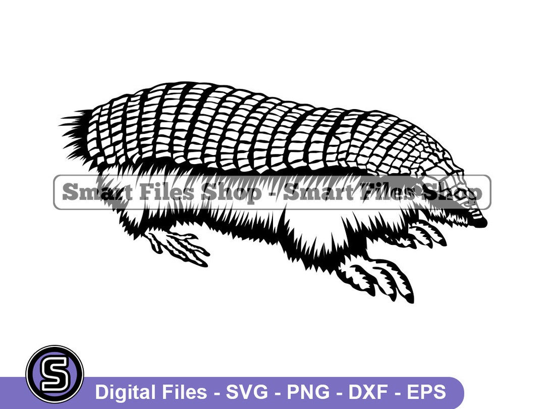 Pink Fairy Armadillo #2 SVG, Armadillo Svg, Animals Svg, Armadillo Dxf ...