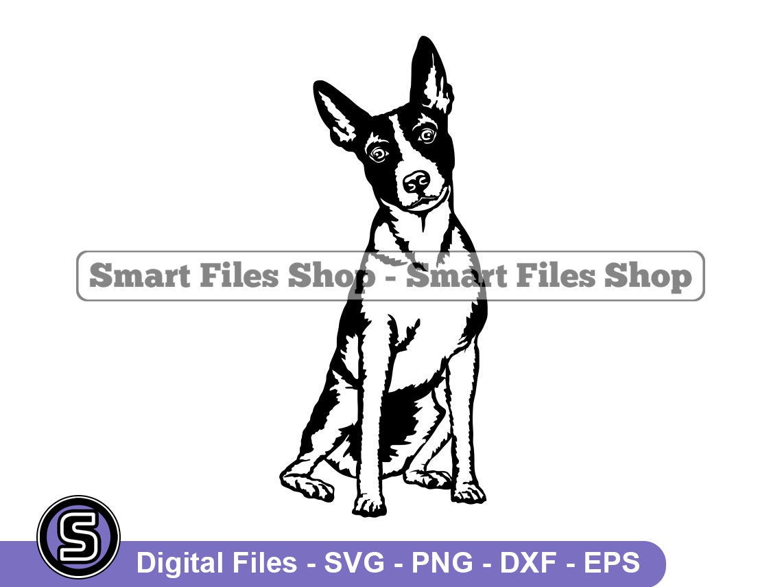 Sitting Rat Terrier SVG Rat Terrier Svg Dog Svg Rat Terrier - Etsy