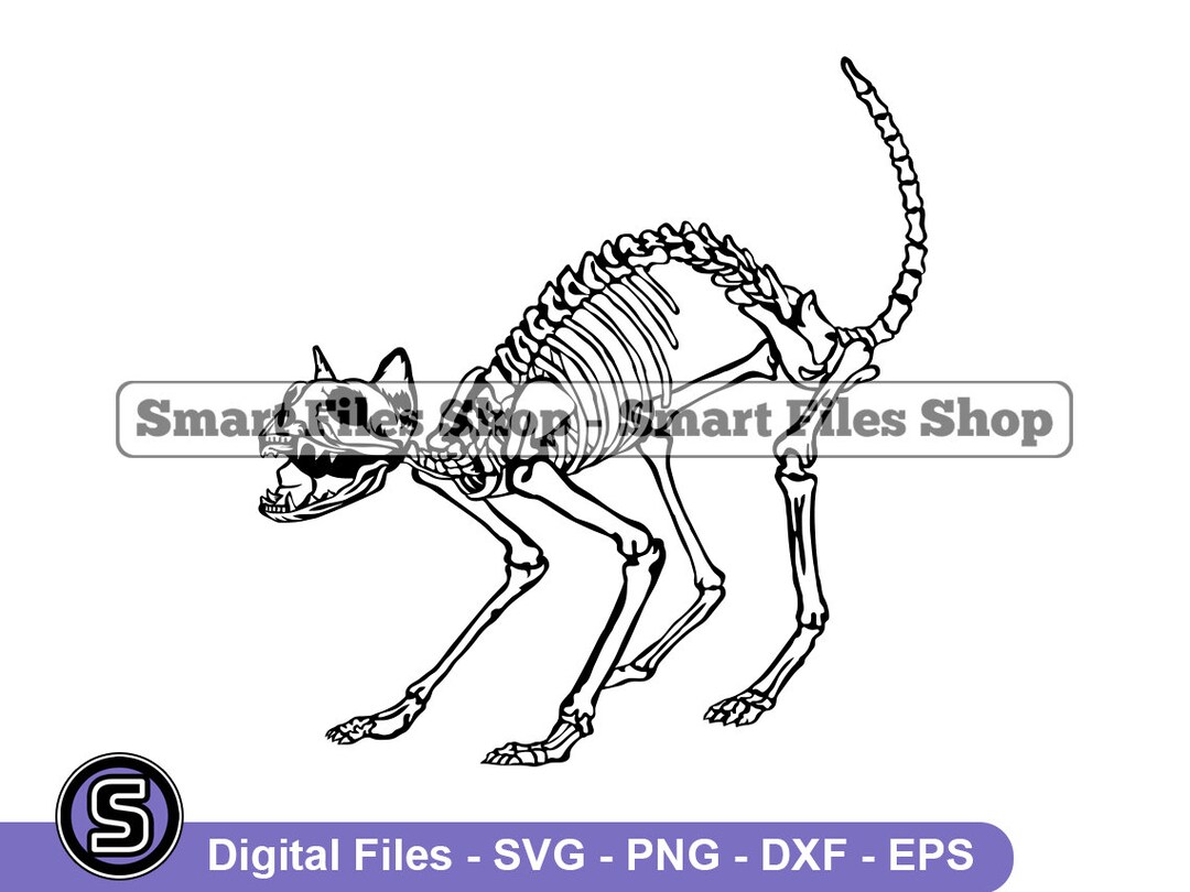 Cat Skeleton SVG, Cat Svg, Cat Design Svg, Cool Cat Svg, Cat Dxf, Cat ...
