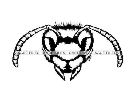 Honey Bee Mascot SVG Honey Bee Face SVG Honey Bee Head Svg - Etsy