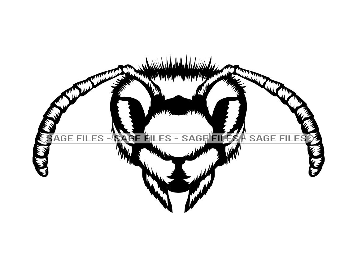 Honey Bee Mascot SVG Honey Bee Face SVG Honey Bee Head Svg - Etsy Ireland