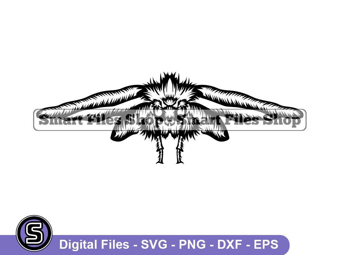 Moth SVG Bug Svg Moth Design Svg Moth Dxf Moth Png Moth - Etsy