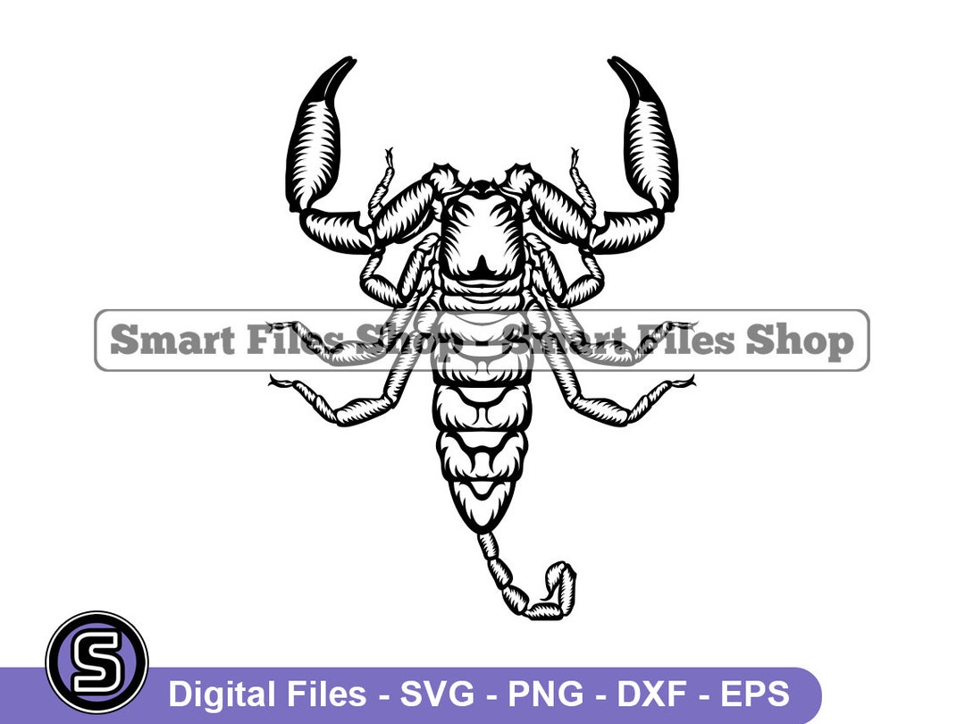 Scorpion Svg, Scorpion Logo Svg, Scorpion Dxf, Scorpion Png, Scorpion ...