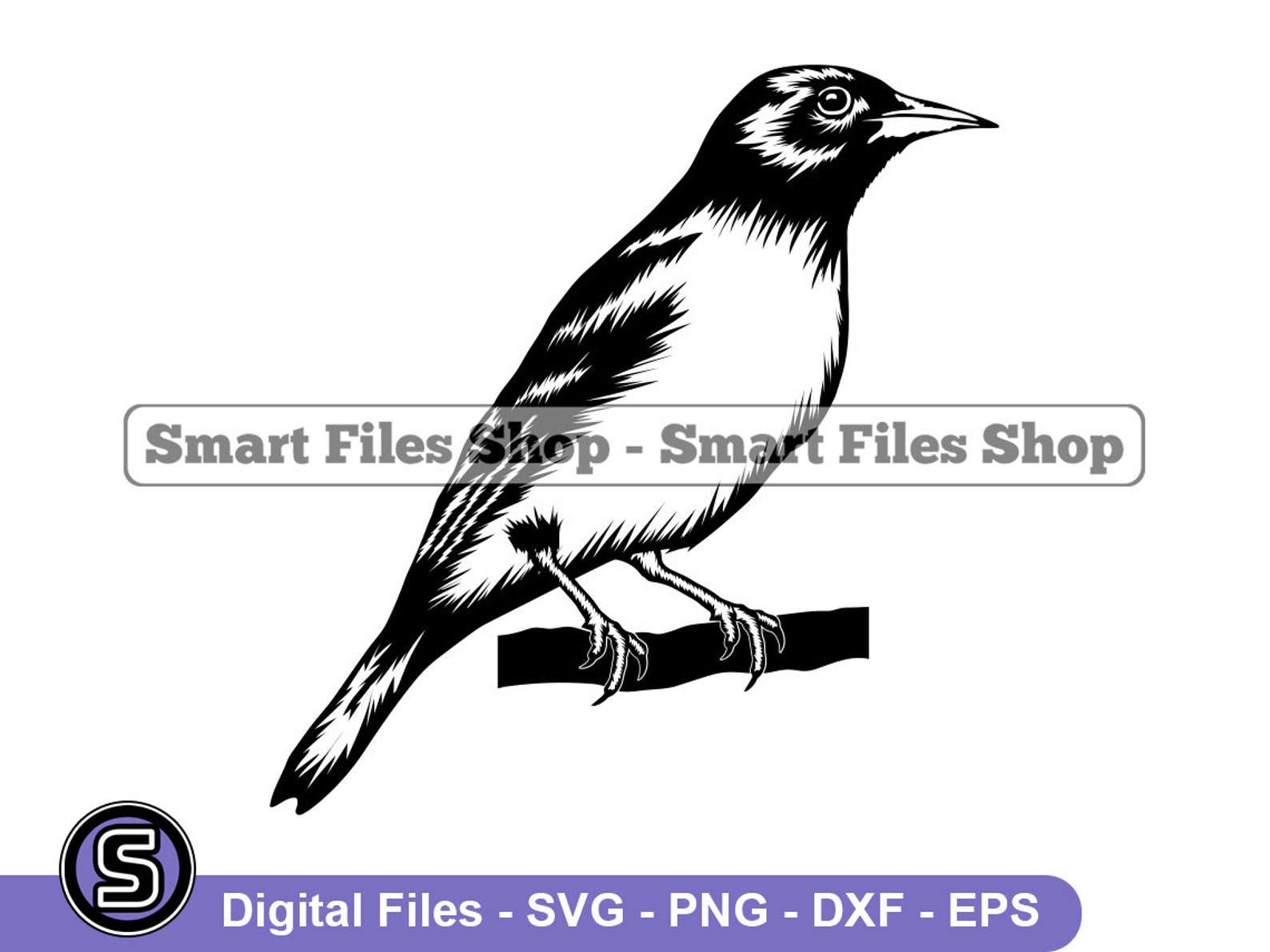 Baltimore Oriole Svg Oriole Svg Bird Svg Oriole Dxf Oriole | Etsy