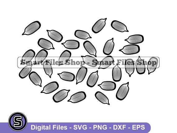 Sunflower Seeds Dxf Sunflower Seeds Png Sunflower Seeds | Etsy