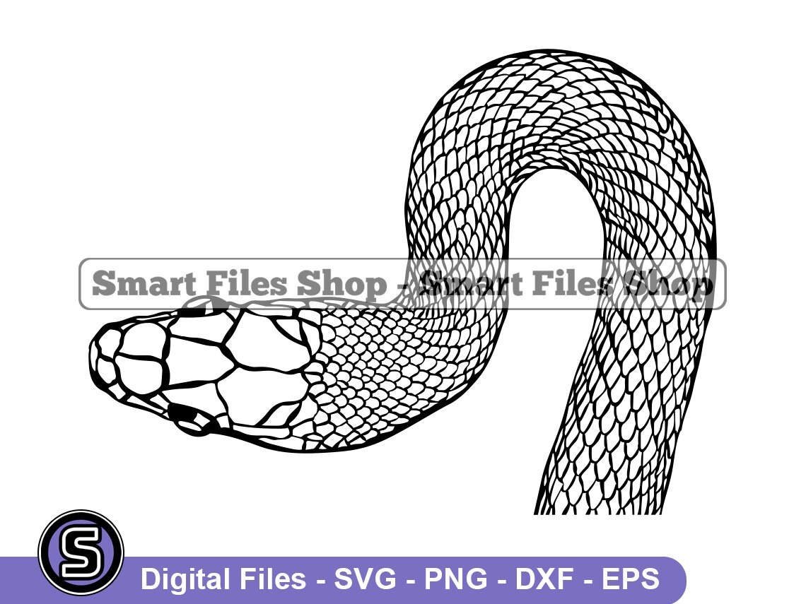 Snake Head Svg Anaconda Svg Snake Svg Snake Dxf Snake Png - Etsy New ...