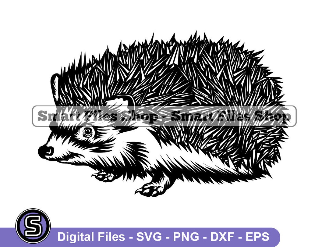 Hedgehog 5 SVG, Hedgehog SVG, Forest Creatures Svg, Hedgehog Dxf ...