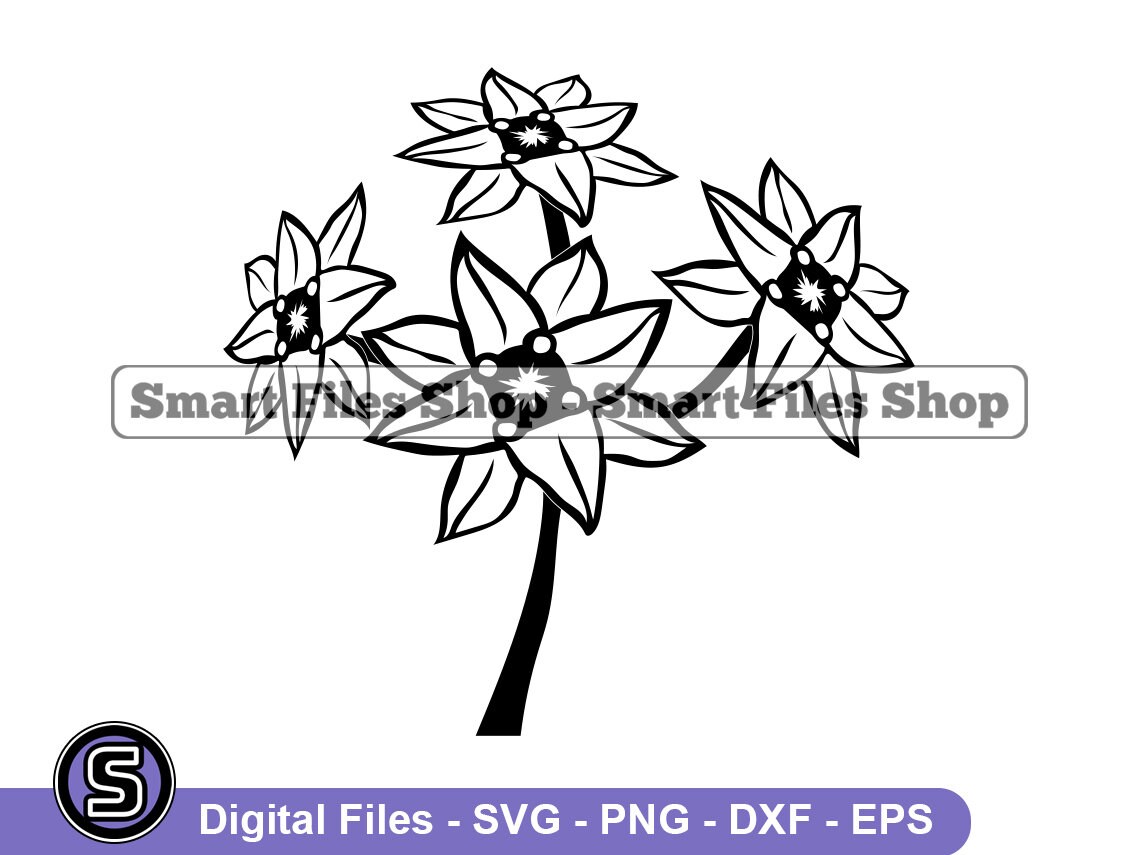 Ladys Mantle Flower SVG Ladys Mantle SVG Flower Svg Flower - Etsy