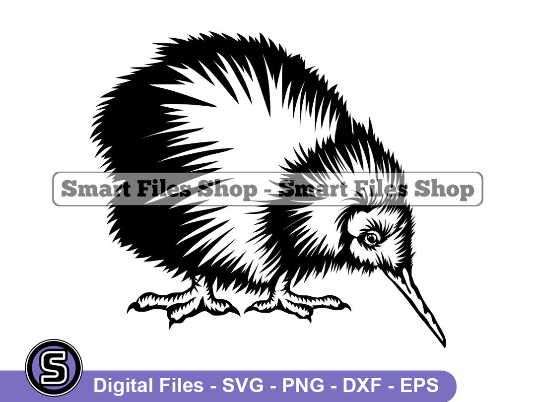 Kiwi SVG, Animals Svg, Kiwi Dxf, Kiwi Png, Kiwi Clipart, Kiwi Files ...