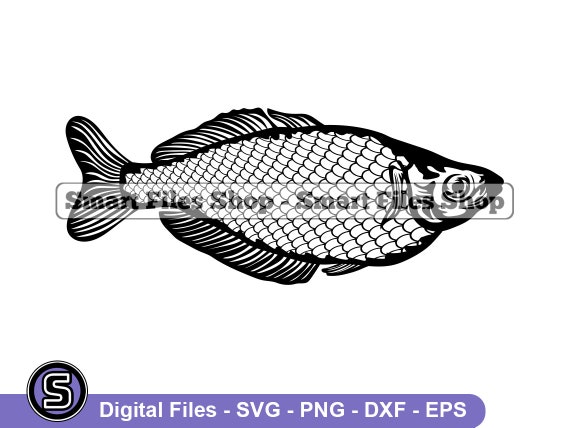 Rainbowfish Svg Fish Svg Fishing Svg Rainbowfish Dxf | Etsy