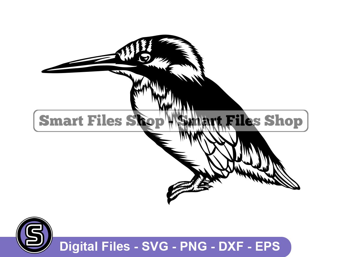 Kingfisher Svg Bird Svg Kingfisher Dxf Kingfisher Png | Etsy