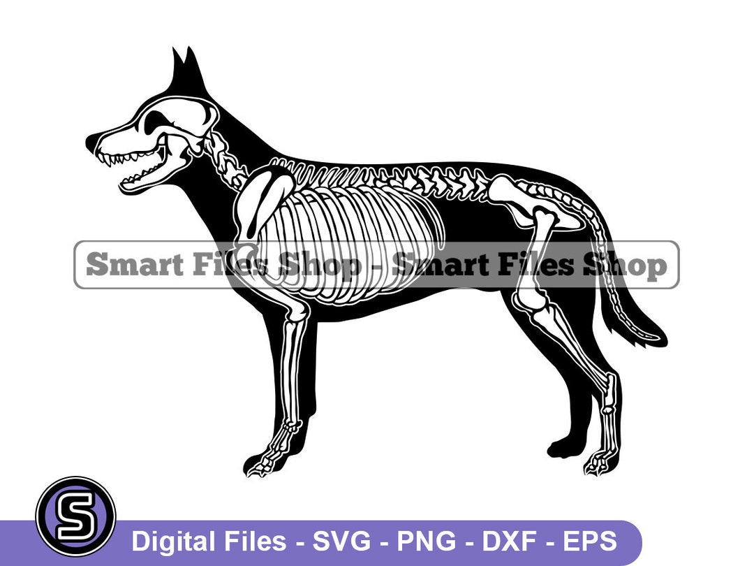 Dog Skeleton #4 Svg, Dog Svg, Kanine Svg, Dog Skeleton Dxf, Dog ...