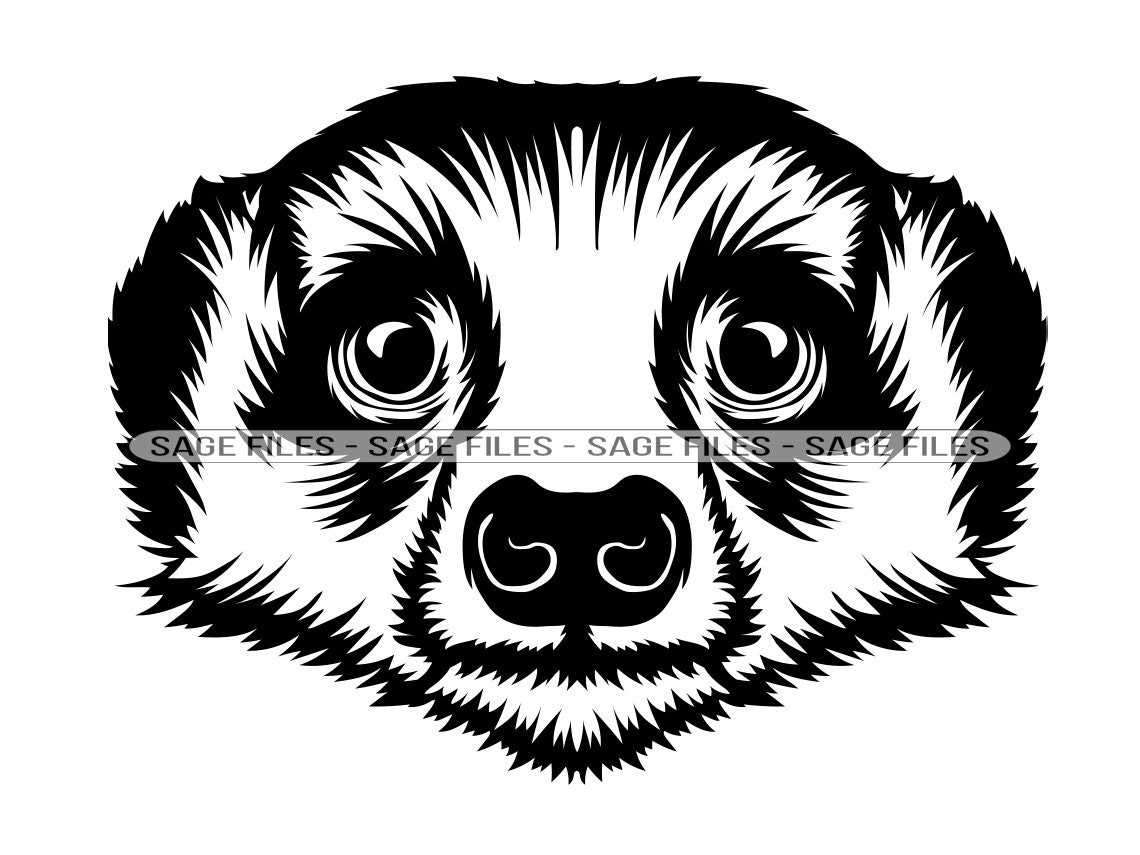 Meerkat Face Drawing