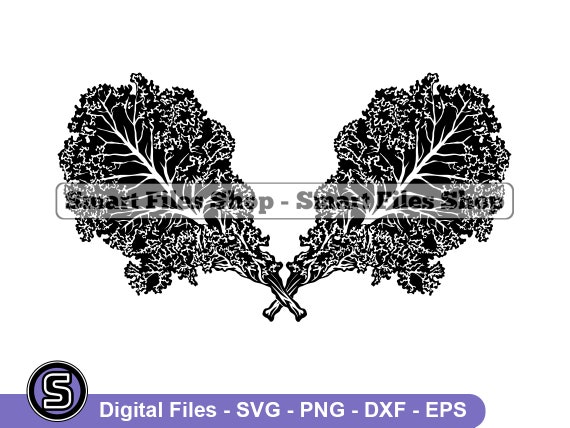 Kale Logo SVG Kale SVG Vegetables Svg Healthy Svg Kale | Etsy